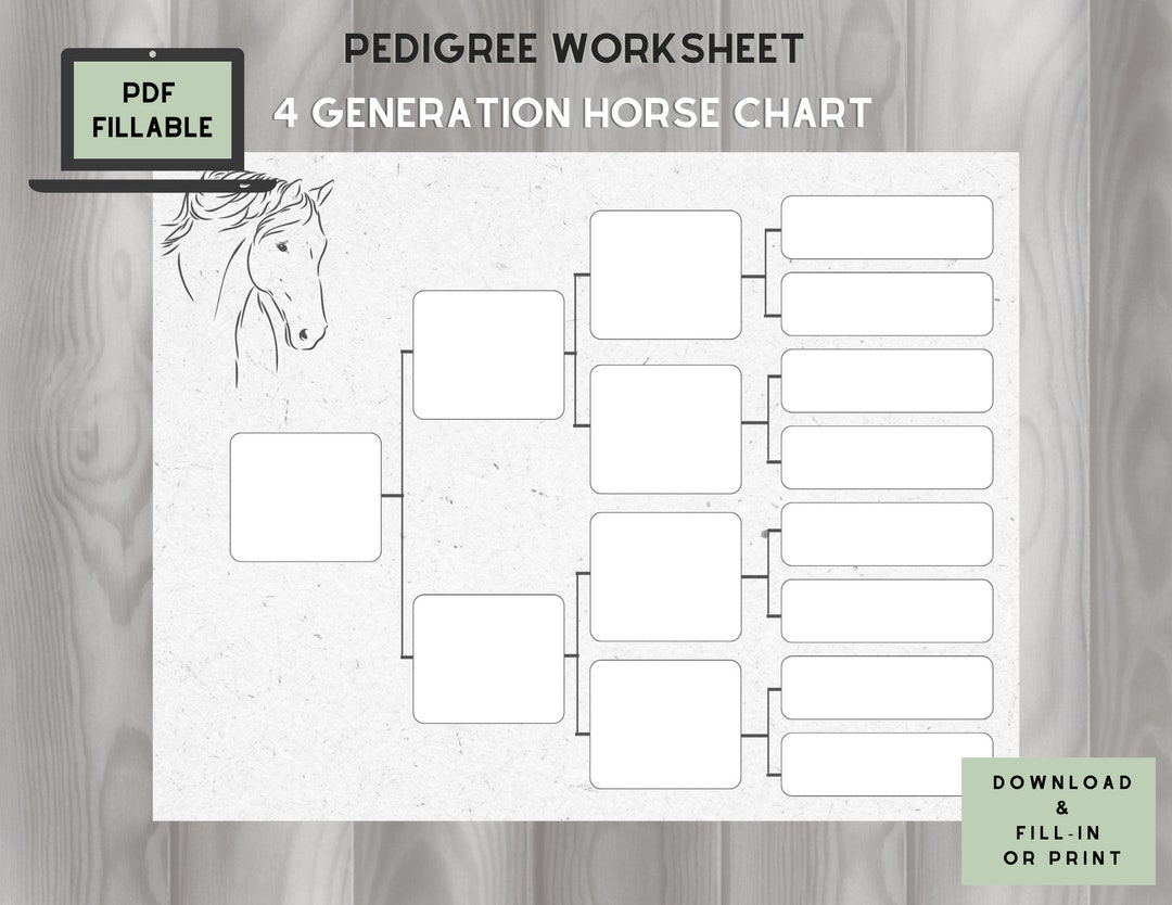 Horse Pedigree Chart - 4 Generations - Fillable PDF - Etsy