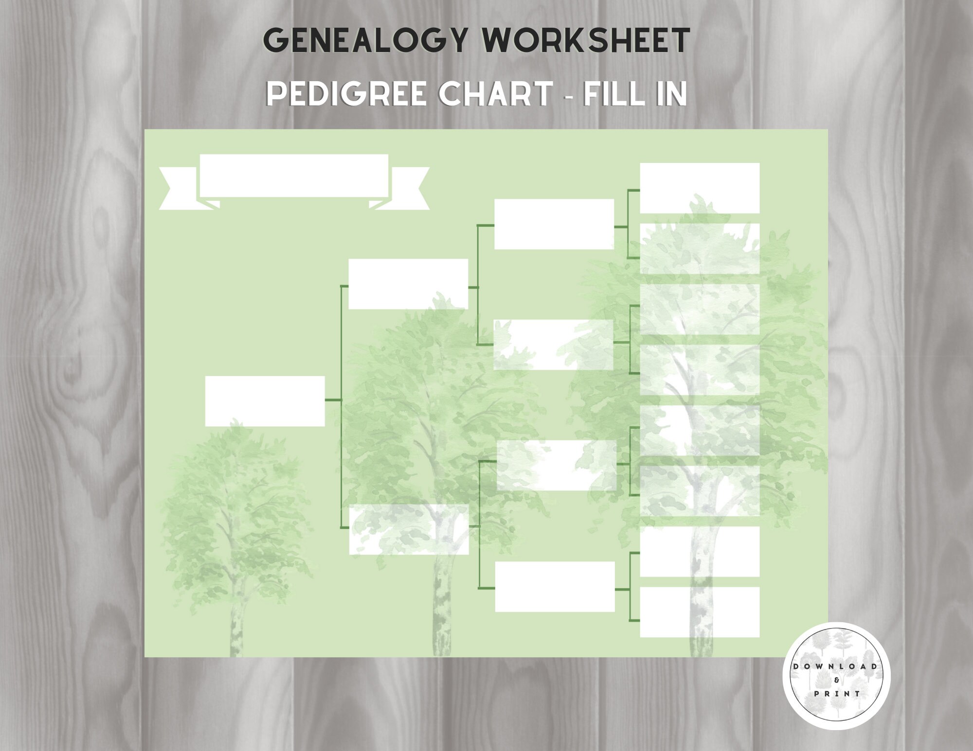 Family Tree Pedigree Chart 4 Generations Download Print - Etsy