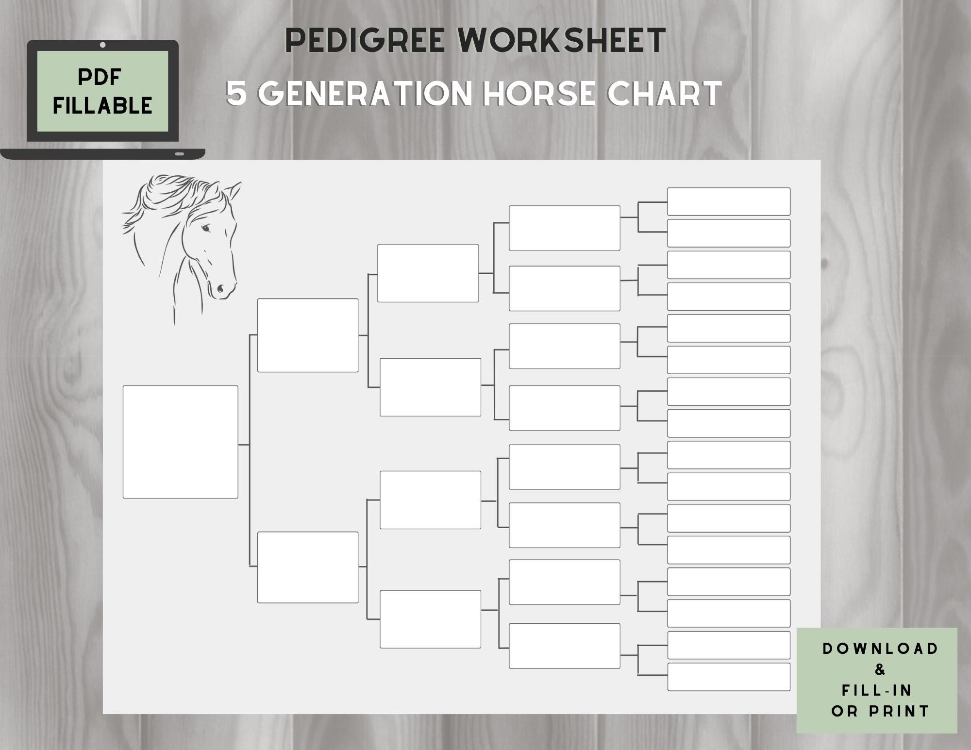 Horse Pedigree Chart - 5 Generations on One Page! - Fillable PDF - Etsy