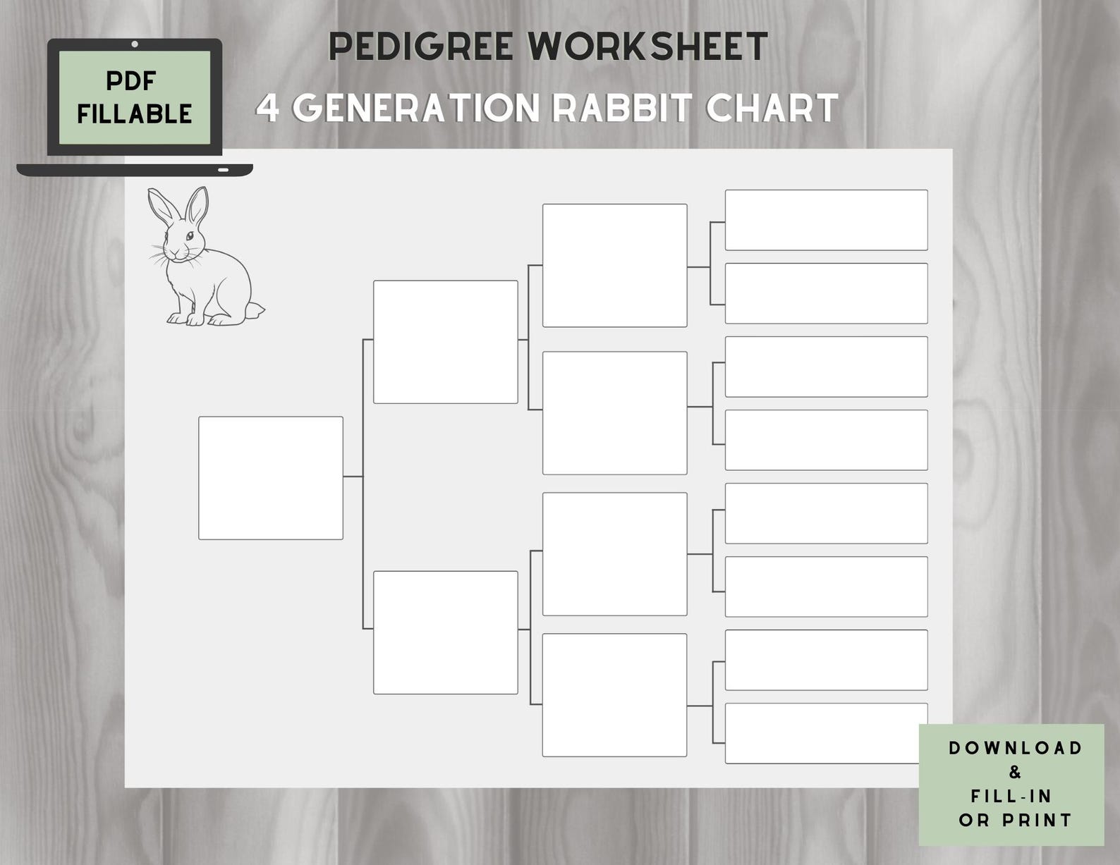 Rabbit Pedigree Chart - 4 Generations on One Page! - Fillable PDF - Etsy