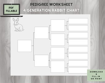 Horse Pedigree Chart - 5 Generations on One Page! - Fillable PDF - Etsy