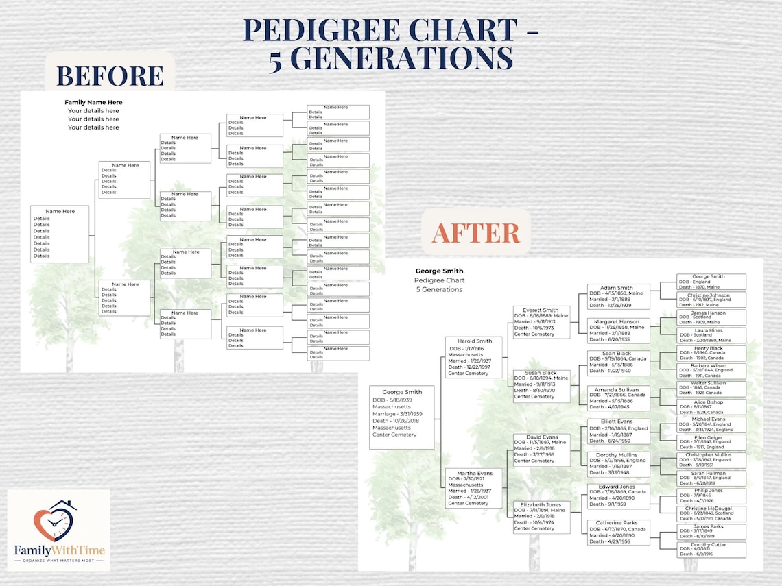 Pedigree Chart - 5 Generations - Editable Canva Template - Instant ...