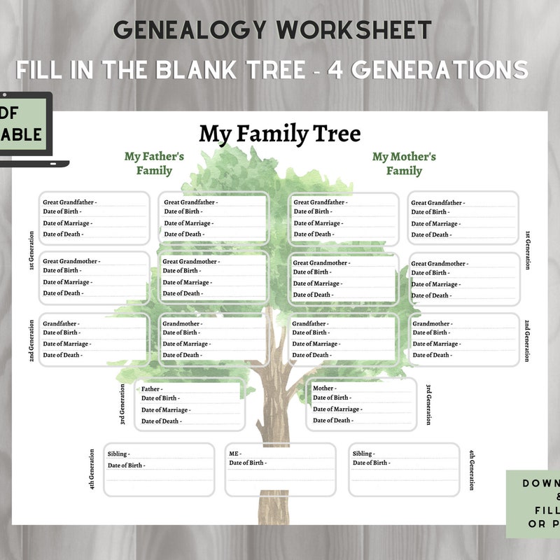 Family Tree Color Sheets - Etsy