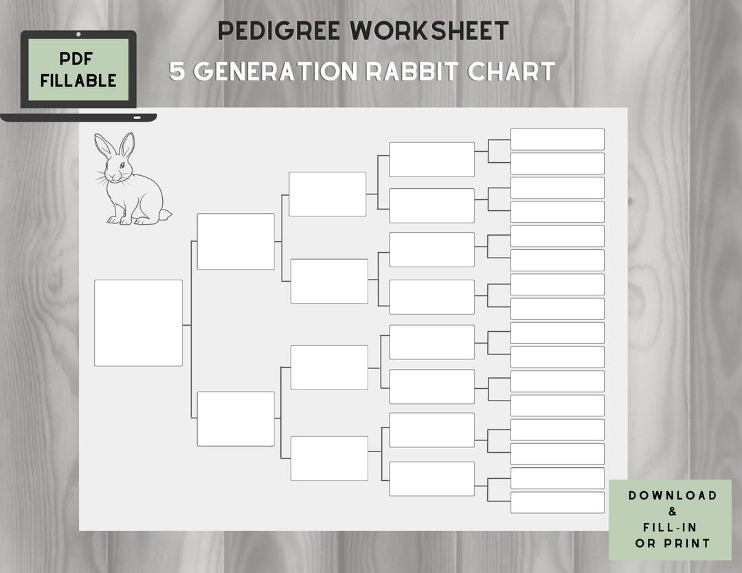 Rabbit Pedigree Chart - 5 Generations on One Page! - Fillable PDF - Etsy