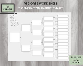 Horse Pedigree Chart - 5 Generations on One Page! - Fillable PDF - Etsy