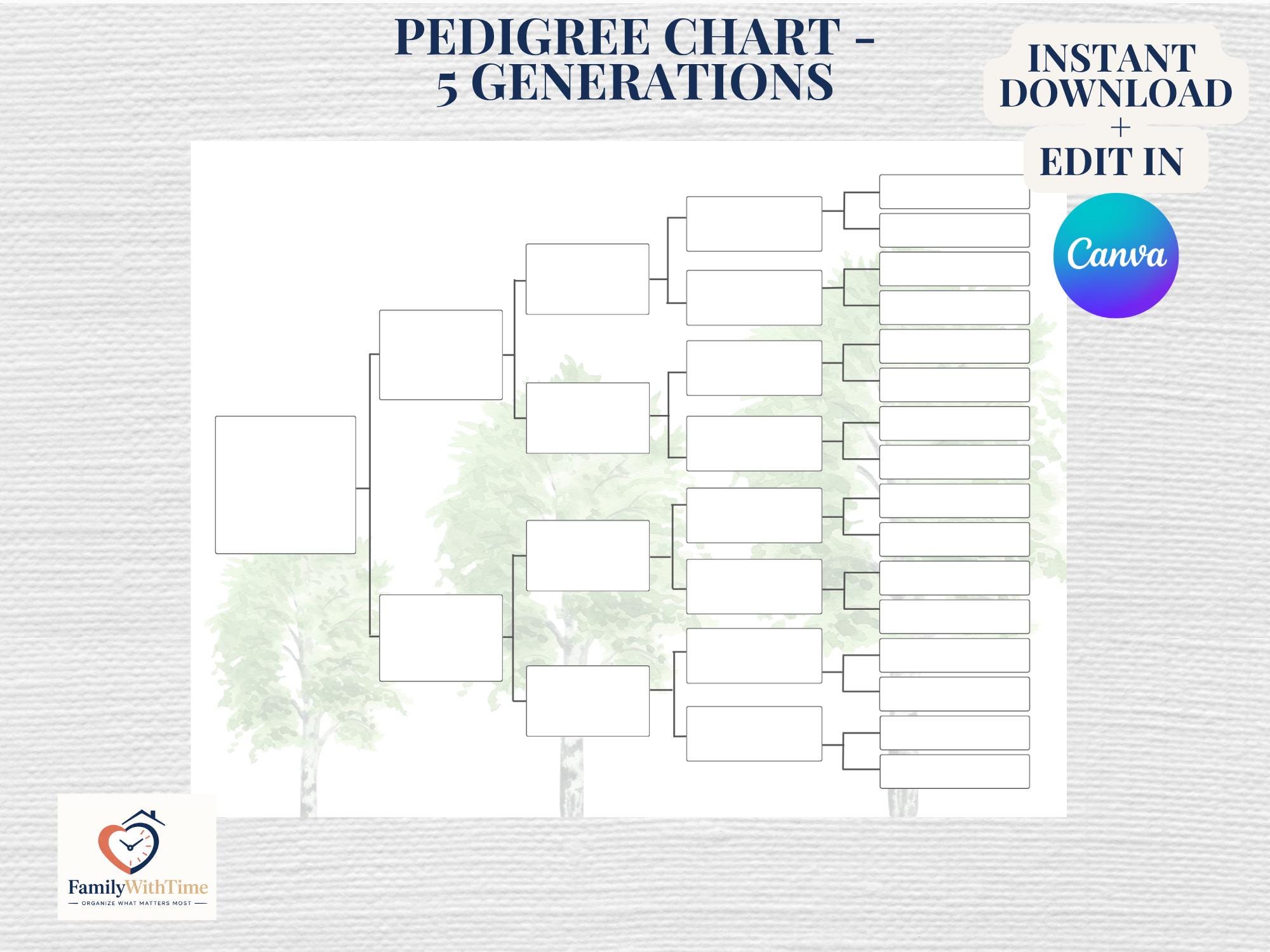 Pedigree Chart - 5 Generations - Editable Canva Template - Instant ...