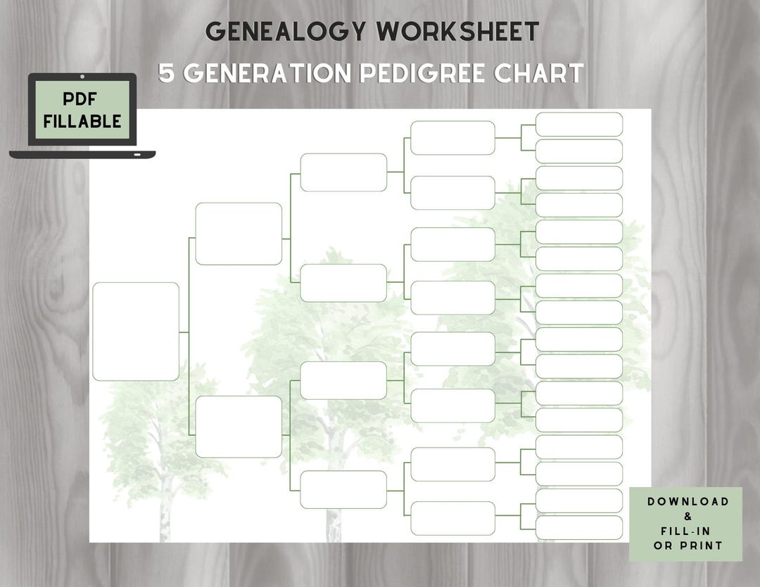 Pedigree Chart - 5 Generations on One Page! - FILLABLE PDF - Etsy