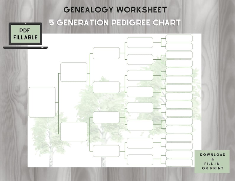 Pedigree Chart - 5 Generations on One Page! - FILLABLE PDF - Etsy