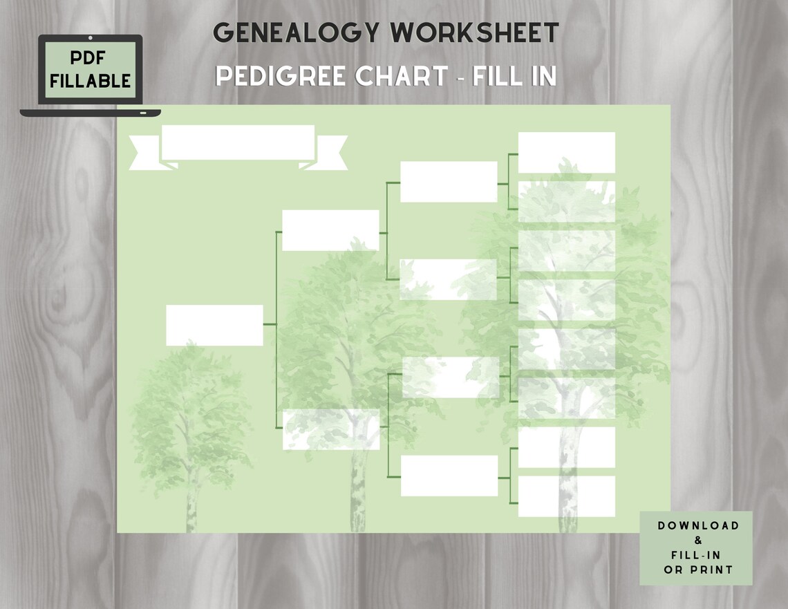 Family Tree Pedigree Chart - 4 Generations - Fillable PDF - Colorful ...