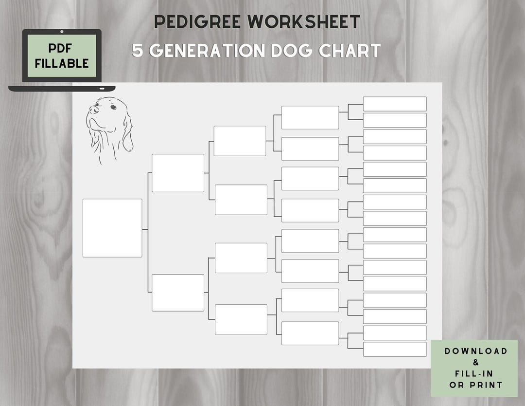Dog Pedigree Chart - 5 Generations on One Page! - Fillable PDF - Etsy