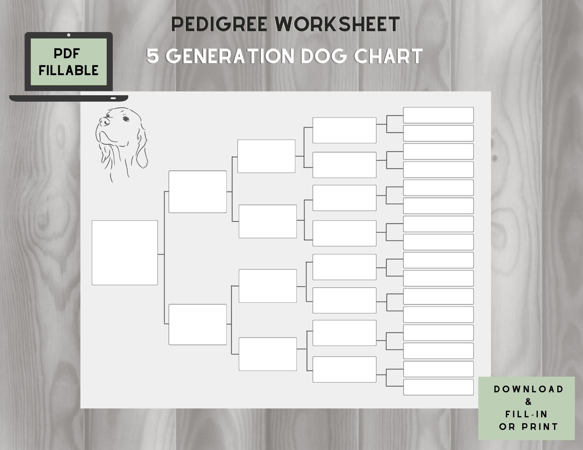 Dog Pedigree Chart - 5 Generations on One Page! - Fillable PDF - Etsy