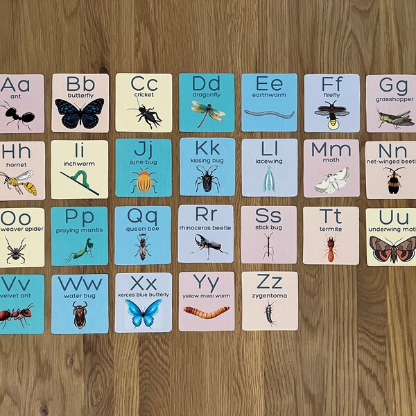 Abc Flashcards - Etsy
