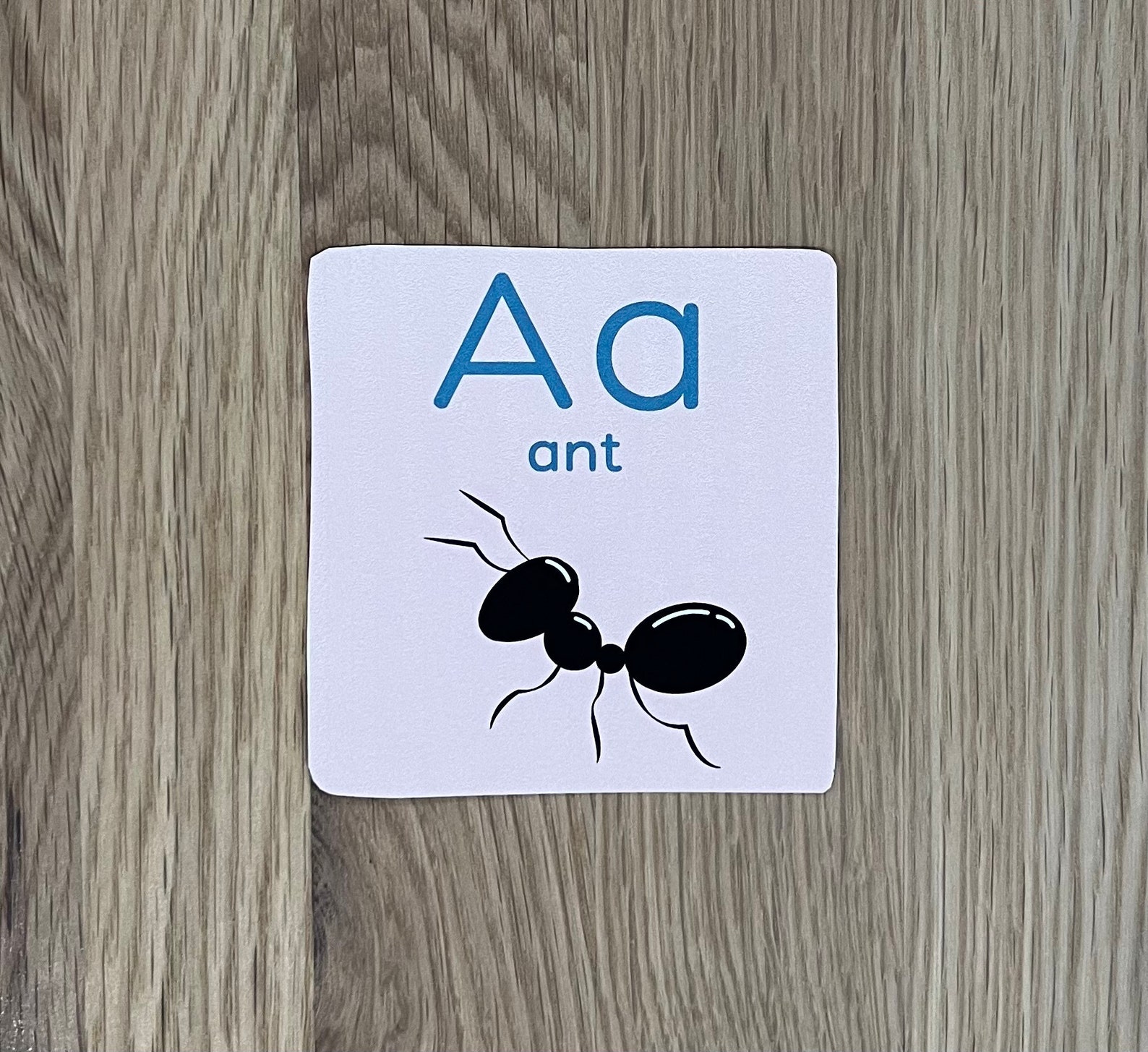 Small Bug ABC Flashcards Insect Alphabet Flashcards - Etsy