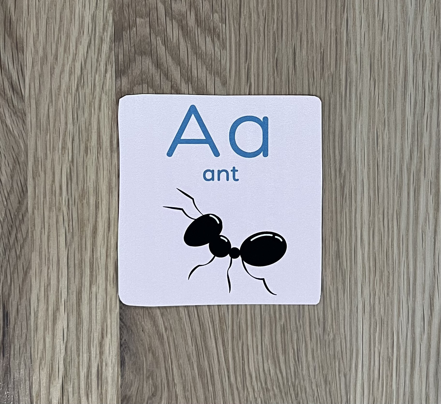 Small Bug ABC Flashcards Insect Alphabet Flashcards - Etsy