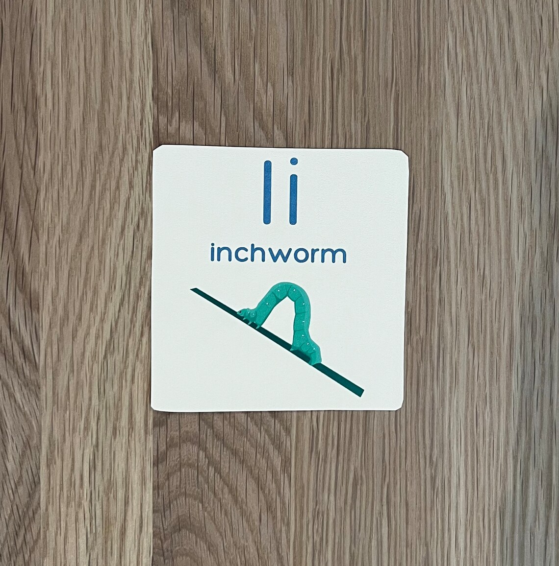 Small Bug ABC Flashcards Insect Alphabet Flashcards - Etsy