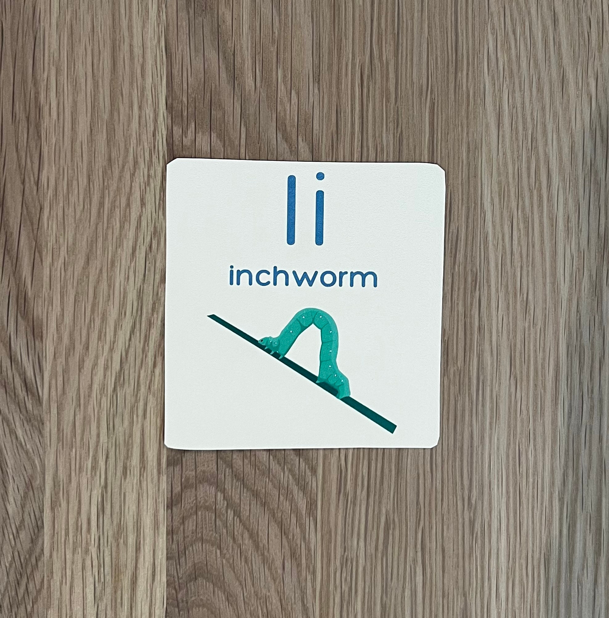 Small Bug ABC Flashcards Insect Alphabet Flashcards - Etsy