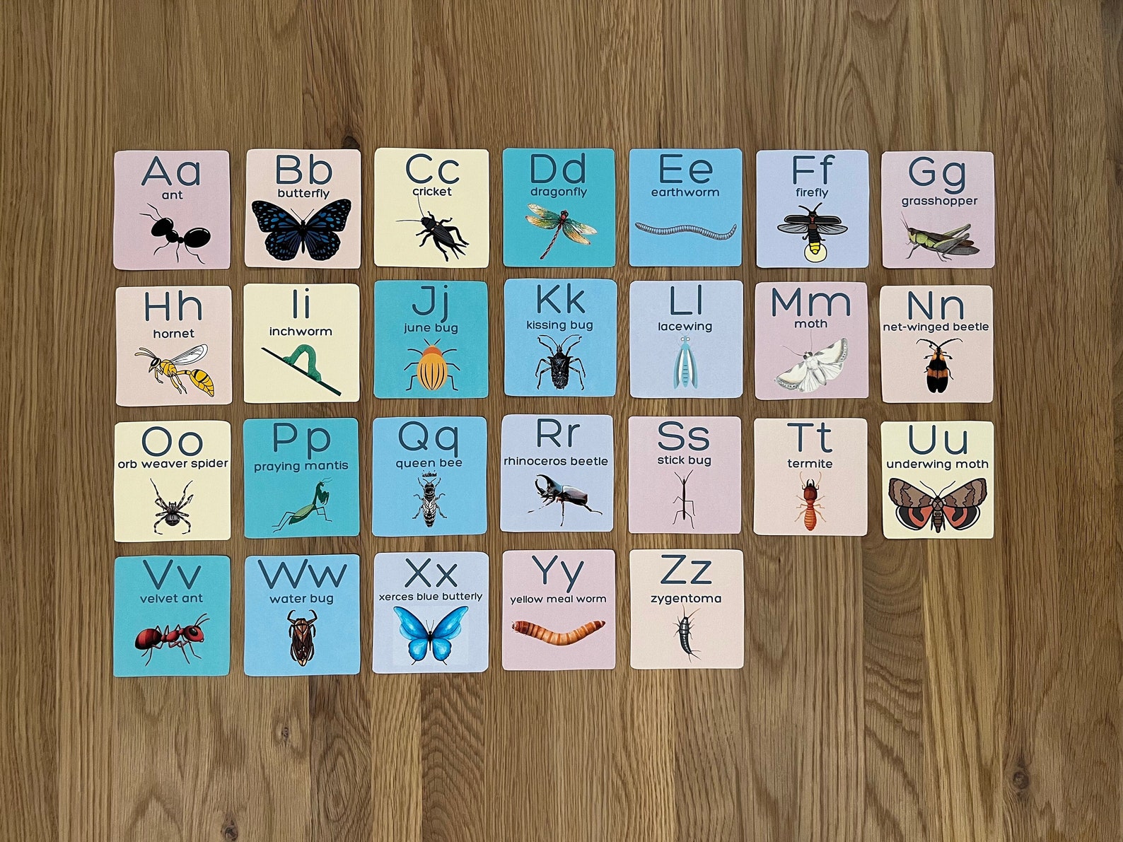Small Bug ABC Flashcards Insect Alphabet Flashcards - Etsy