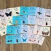 Small Bug ABC Flashcards Insect Alphabet Flashcards - Etsy