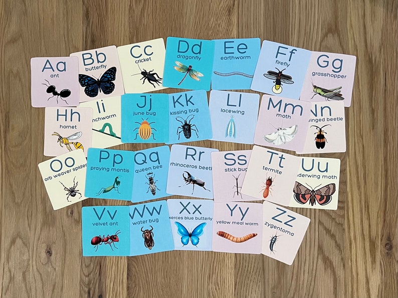 Small Bug ABC Flashcards Insect Alphabet Flashcards - Etsy