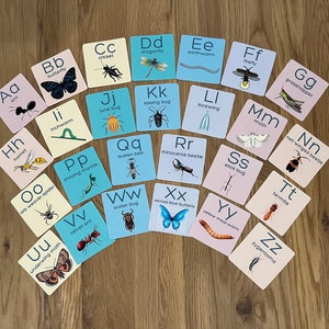 Small Bug ABC Flashcards Insect Alphabet Flashcards - Etsy