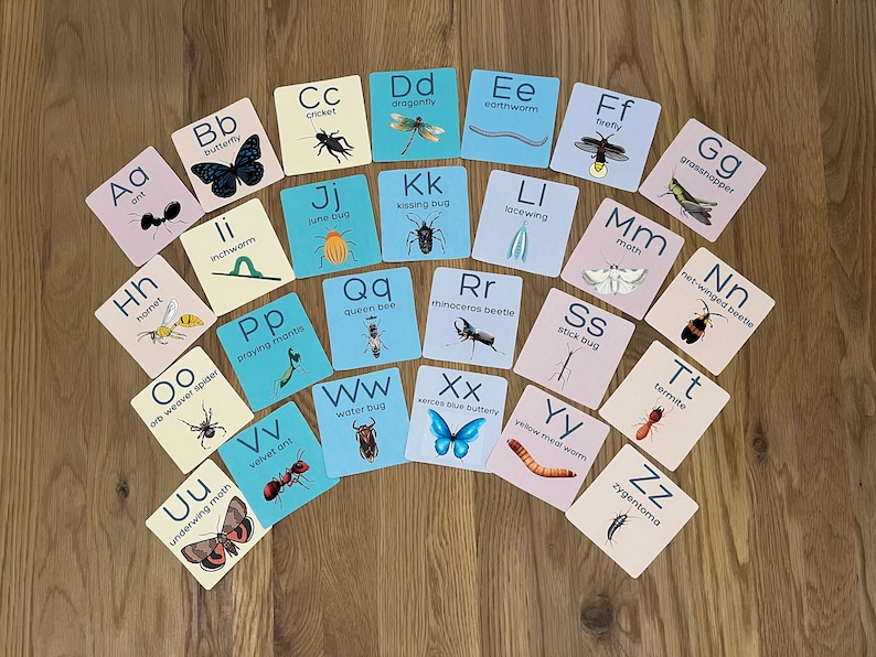 Small Bug ABC Flashcards Insect Alphabet Flashcards - Etsy