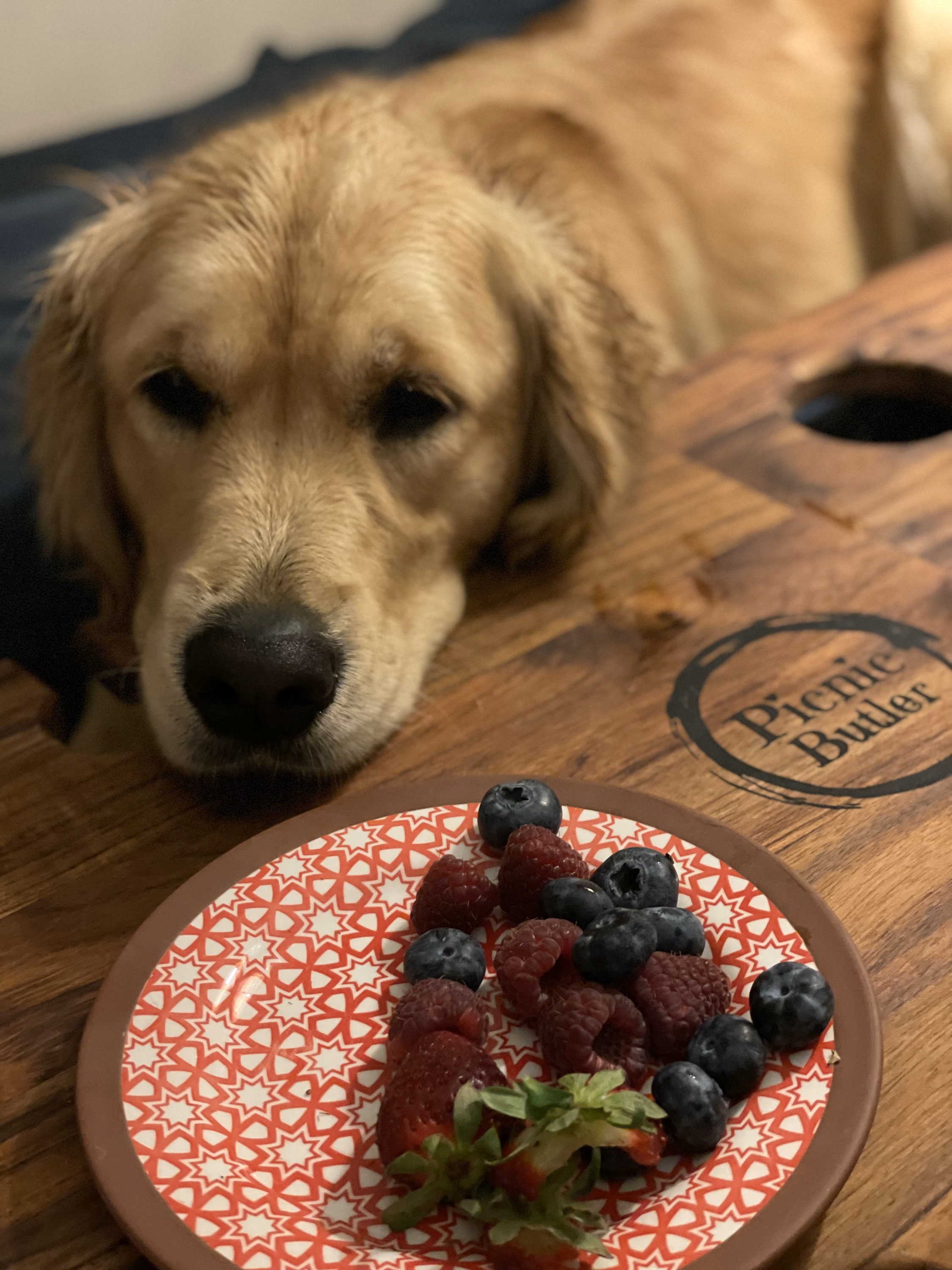 Picnic Butler amoré Fold-up Wine Table Handmade Gifts Sunset Cinemas ...