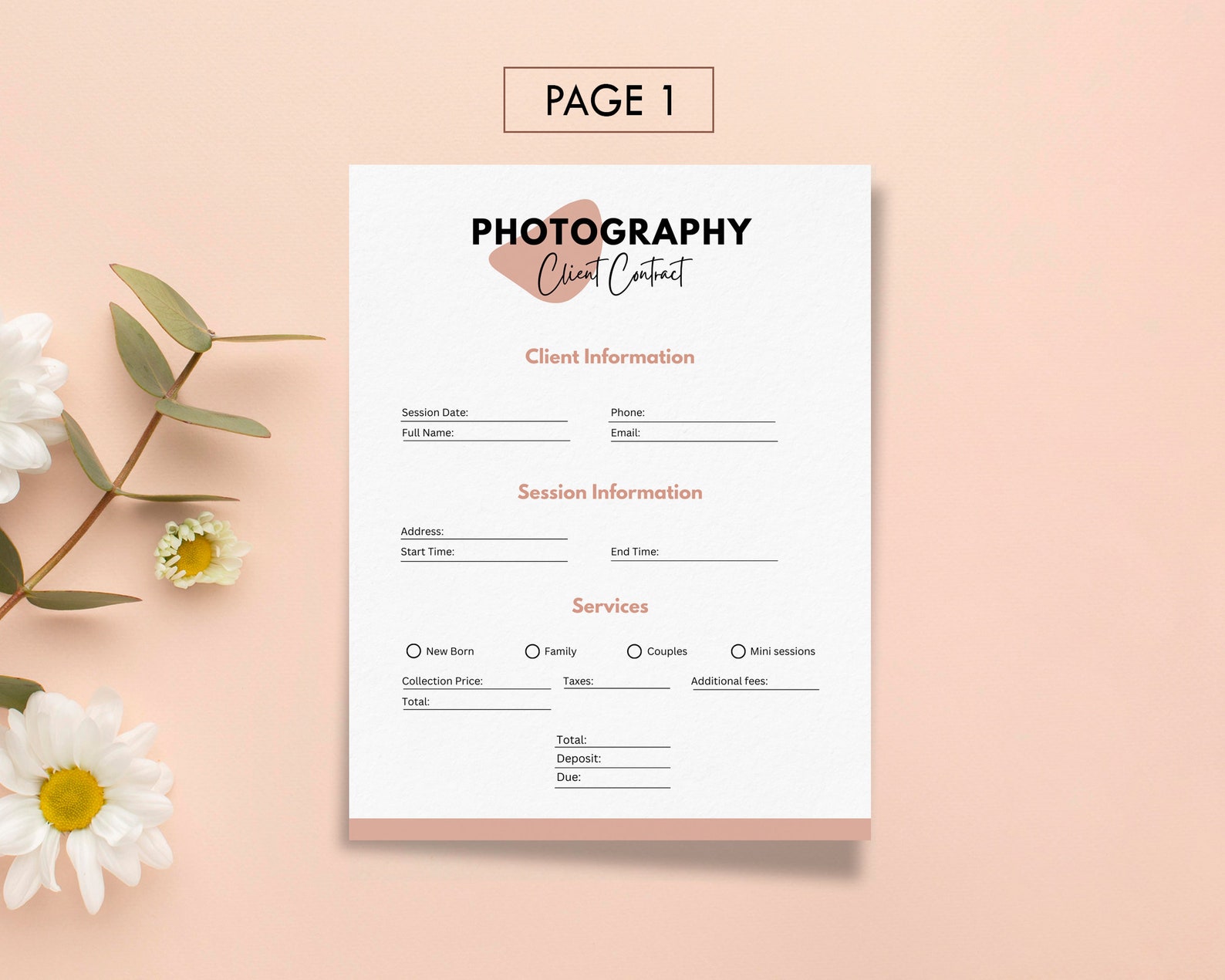 Photography Client Contract, Editable Canva Template + Printable PDF ...