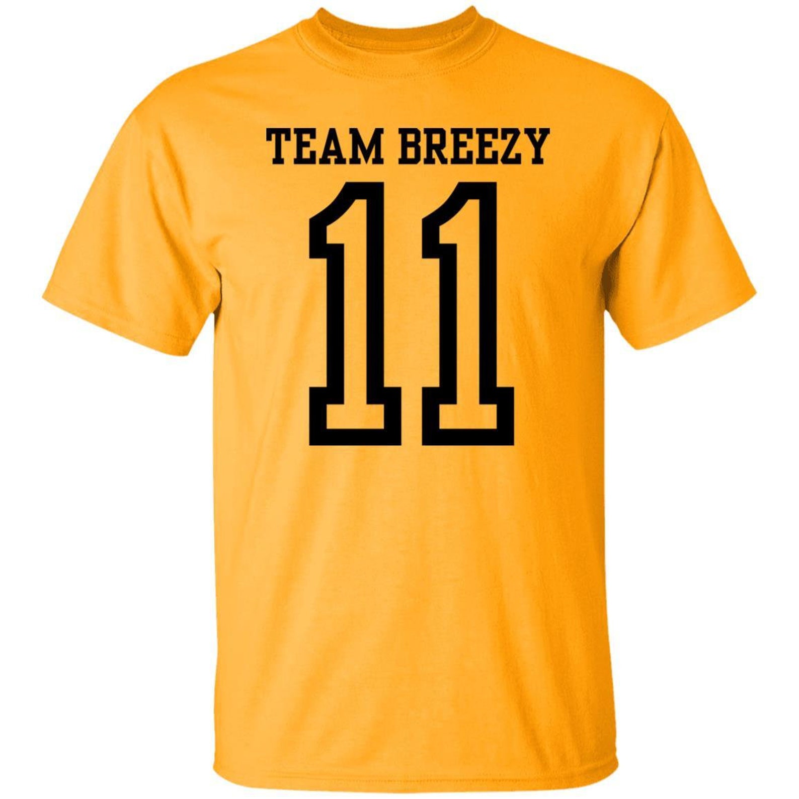 Team Breezy T-shirt - Front & Back | Concert Shirt, Breezy Fan Club ...