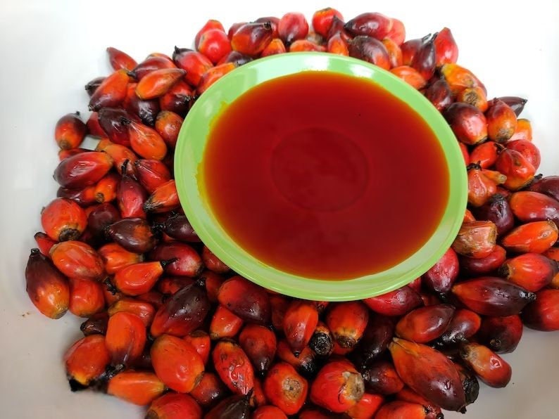 Red Palm Oil Sustainable Agriculture – Authentic Product From the Ouémé ...