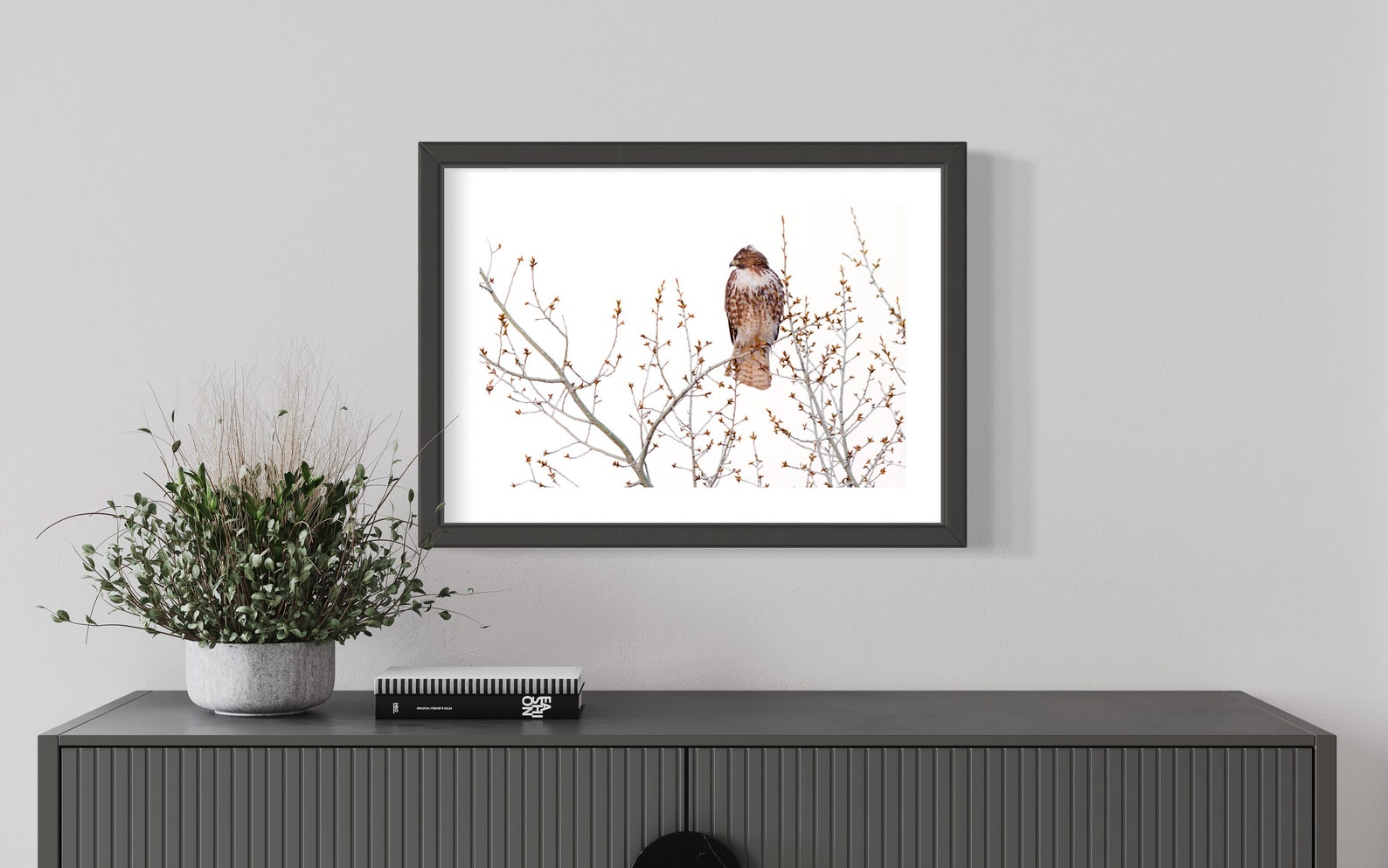 Red-tailed Hawk at Dawn (museum Quality Print - Lifetime Guarantee!) - Etsy