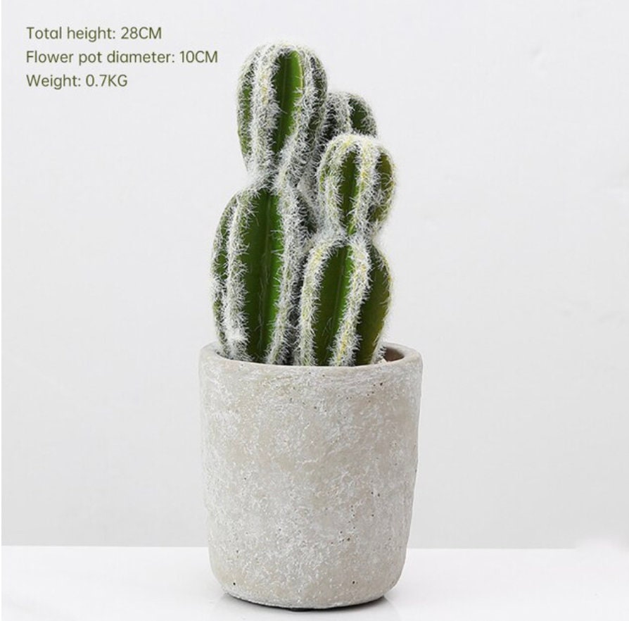 Artificial Indoor Cactus Variety Realistic Cactus Succulent - Etsy