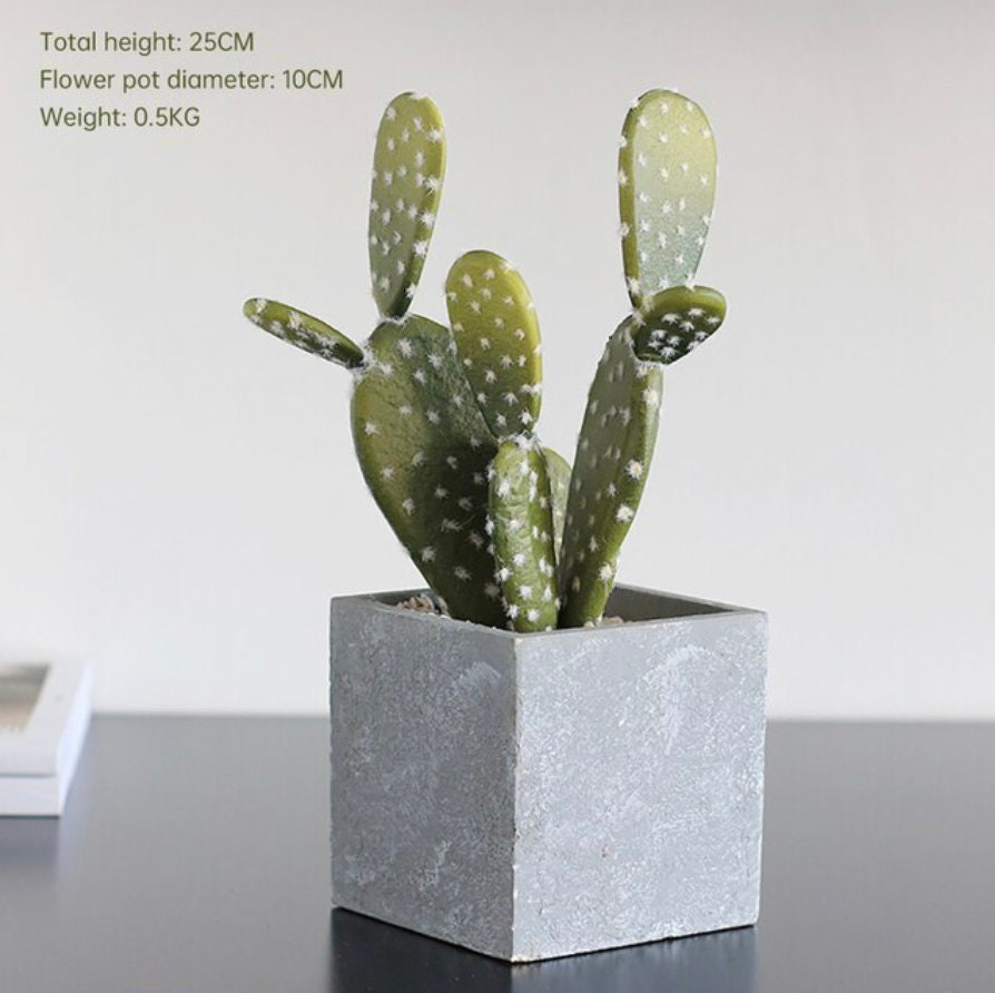 Artificial Indoor Cactus Variety Realistic Cactus Succulent - Etsy