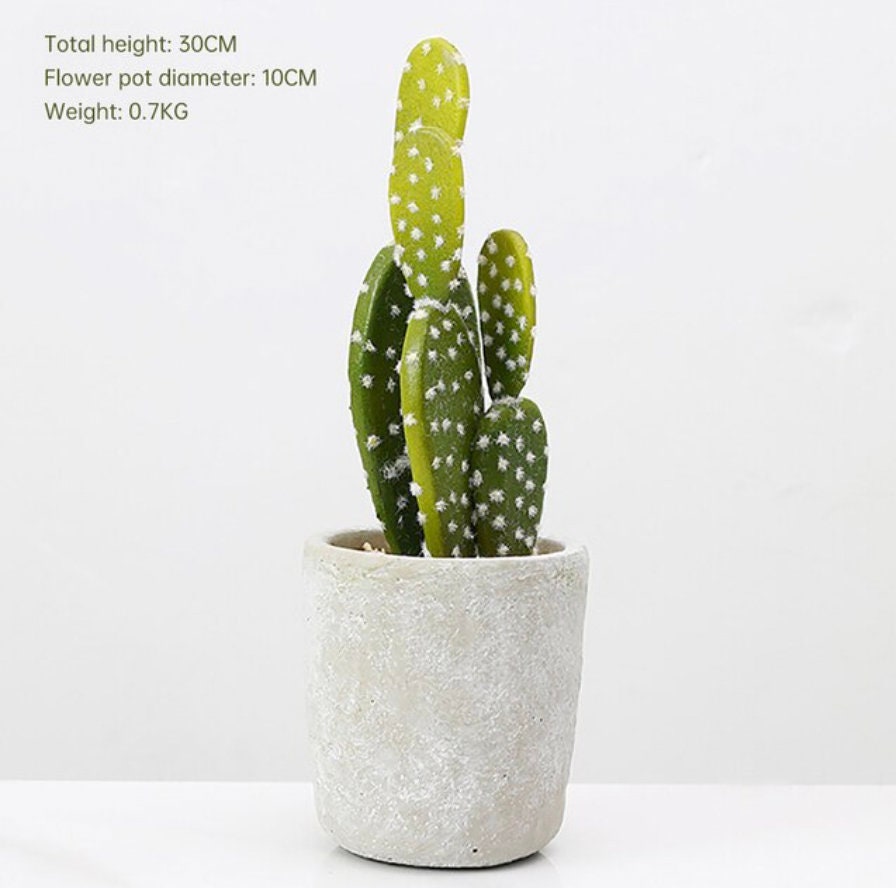 Artificial Indoor Cactus Variety Realistic Cactus Succulent - Etsy