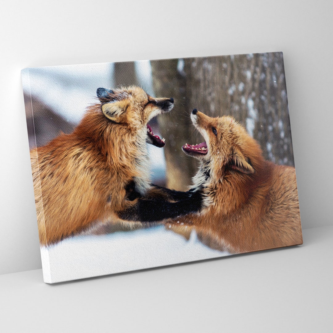 Foxes Play Fighting in the Snow Artwork | Oil Painting – Canvas, Framed ...