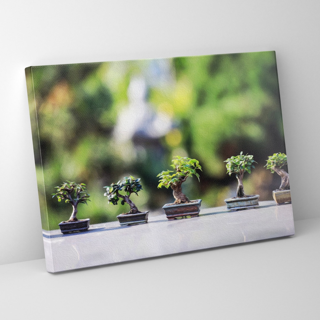 Bonsai Tree Artwork | Oil Painting – Canvas, Framed Print - Etsy