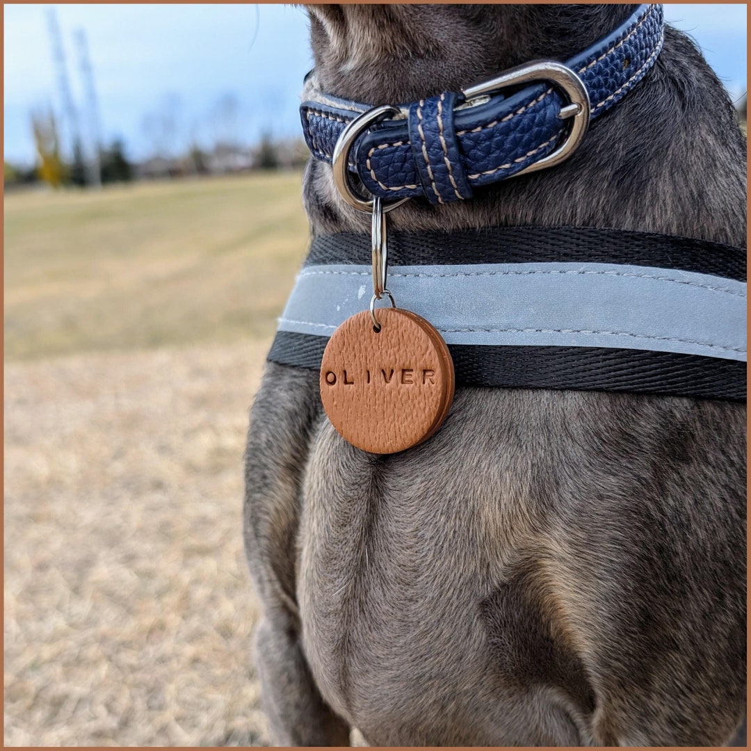 Personalized Pet Tags - Color Options and Styles, Custom Handmade Dog ...