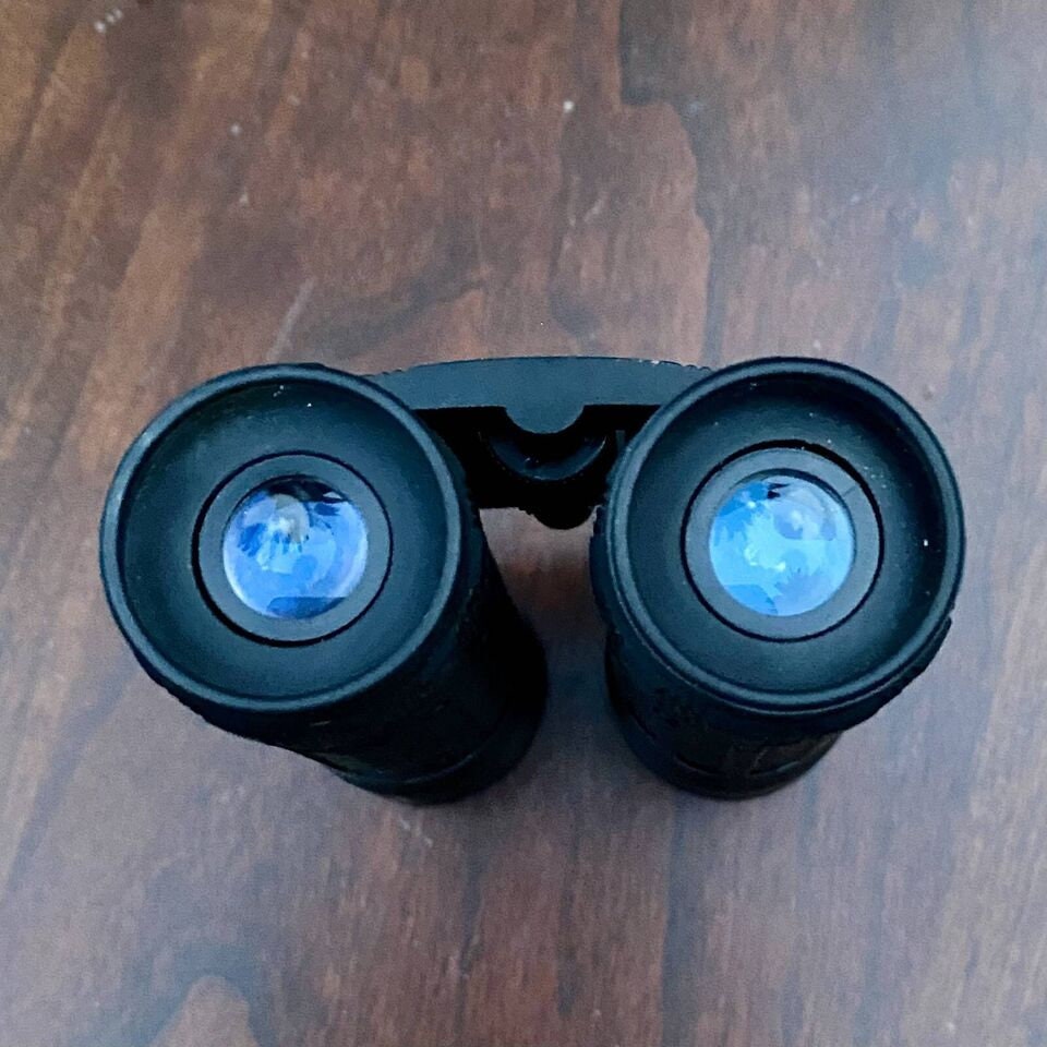 Bushnell 10x25 Black Compact Folding Binoculars 302-FT. AT 1000-YDS - Etsy