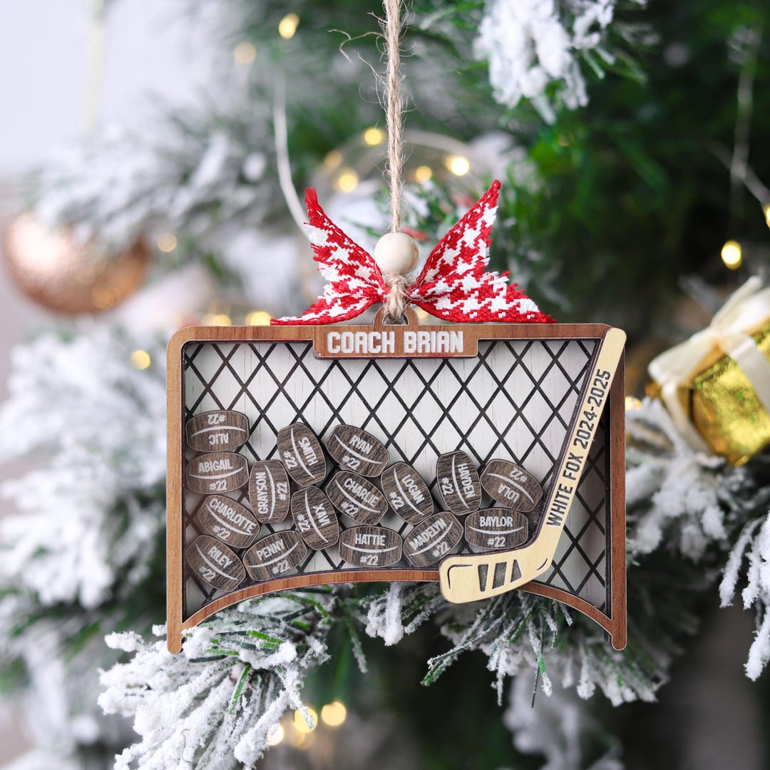 Personalized 4D Hockey Shaker Ornament, Hockey Net With Pucks, Custom ...