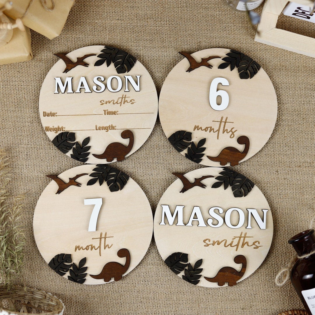 Dinosaur Milestone Cards, Baby Dino Milestone Dinosaur Discs Marker ...