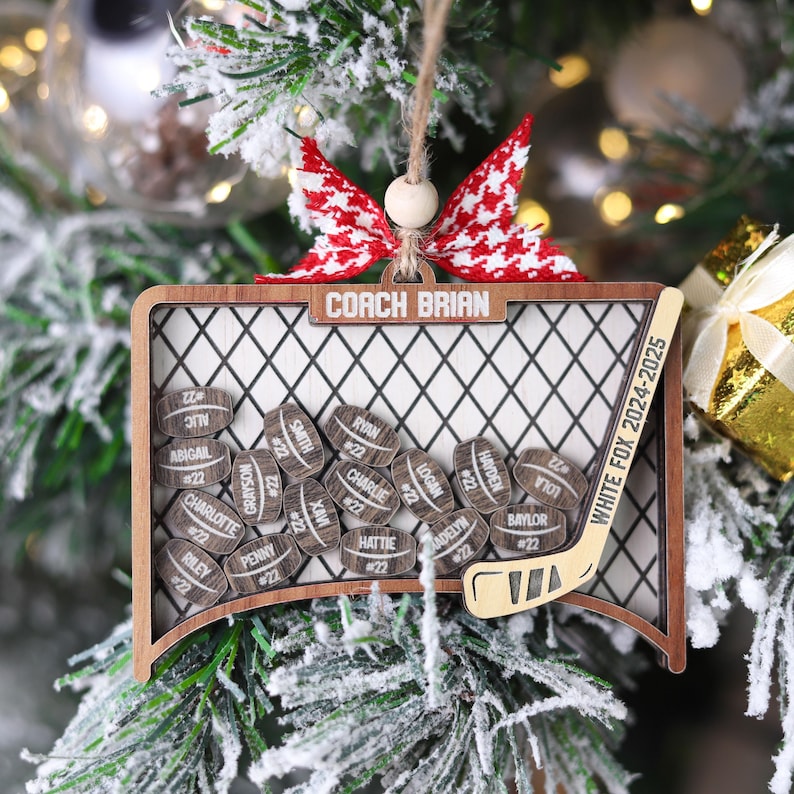 Personalized 4D Hockey Shaker Ornament, Hockey Net With Pucks, Custom ...