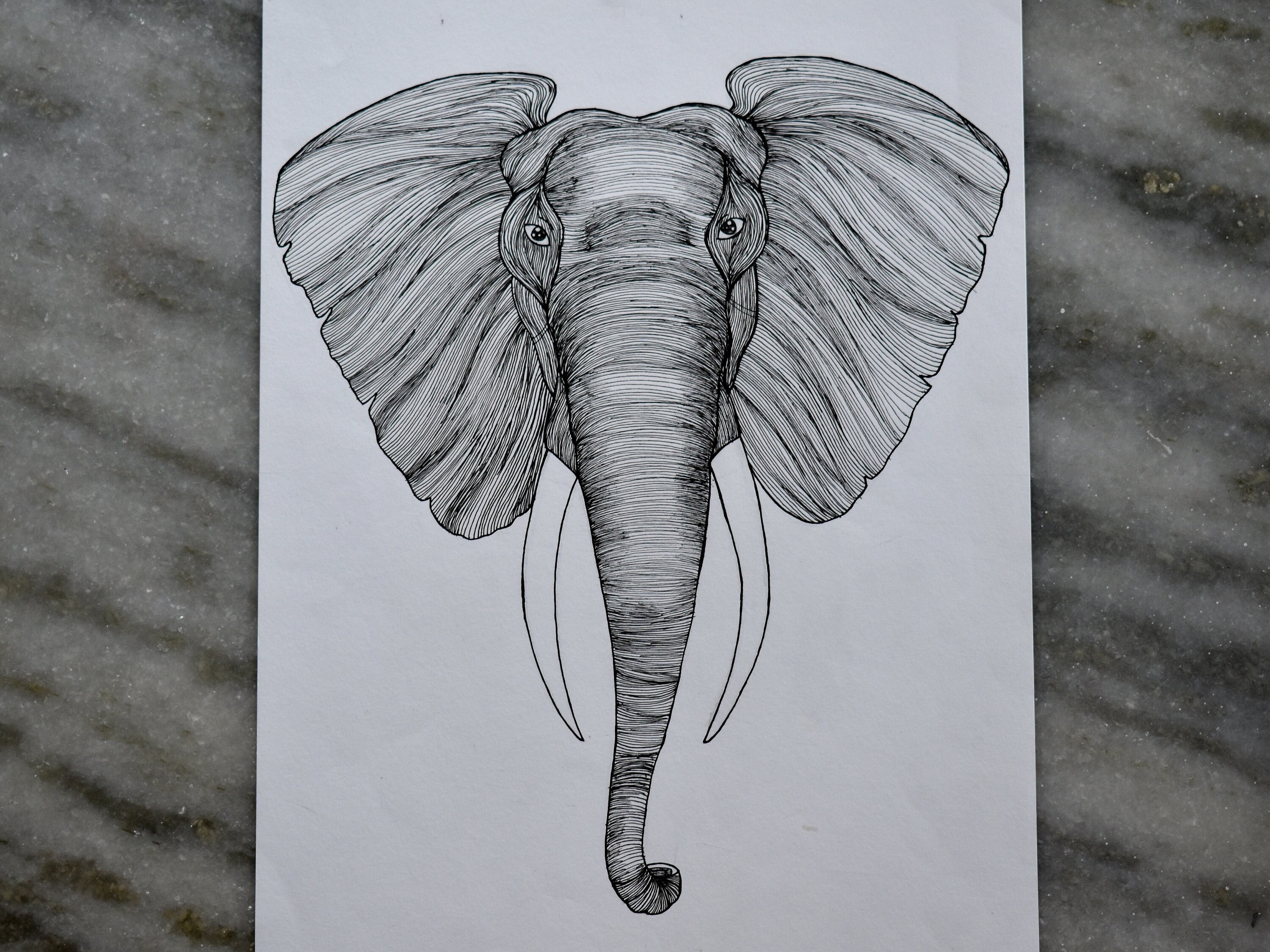 Elephant Line Art Print - Etsy