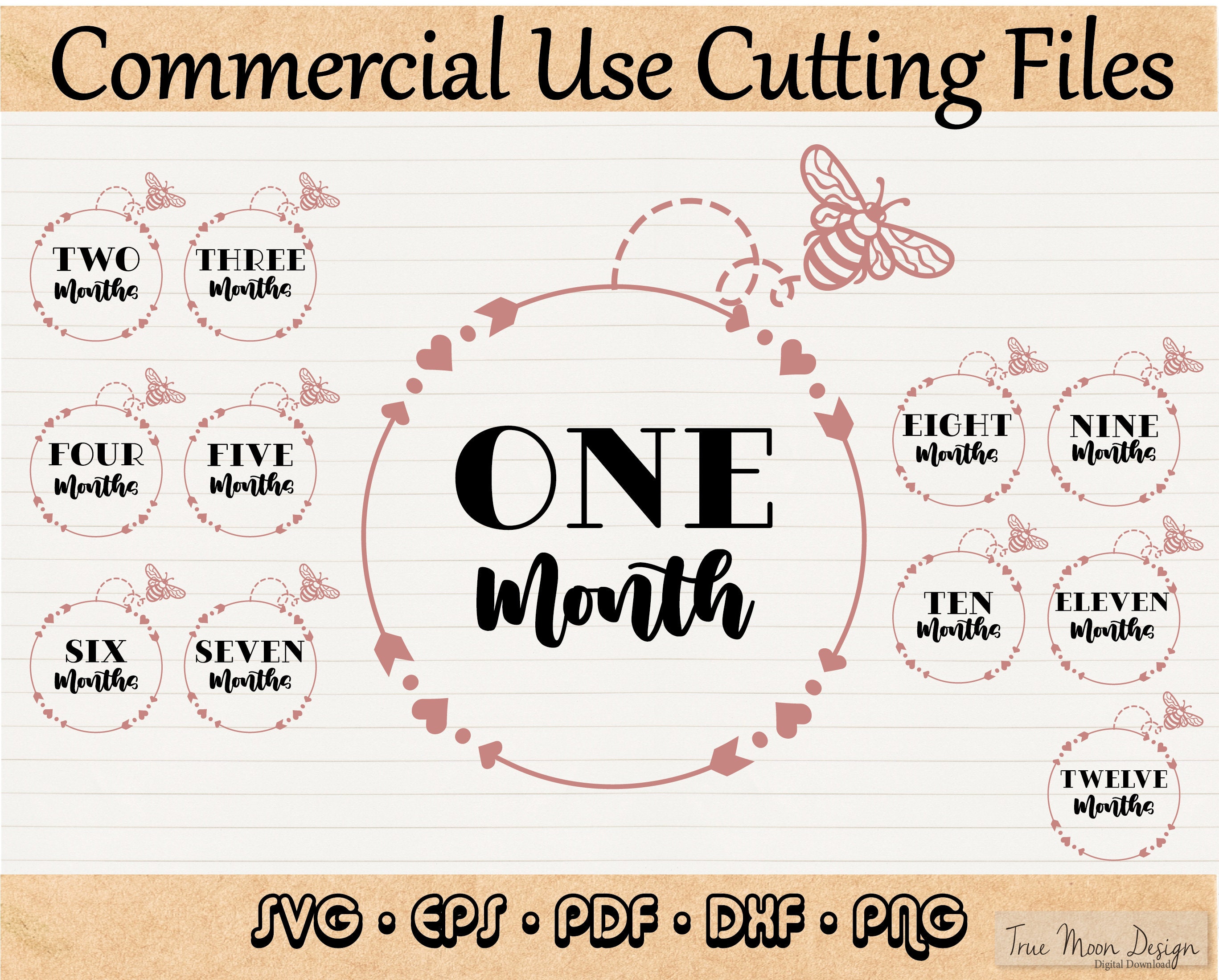 Monthly Milestone Svg Bundle Cricut Cut Files Baby Svg - Etsy