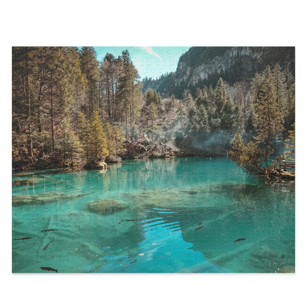 Jigsaw Puzzle 500 Pieces Field of Trees Near Body of Water - Etsy