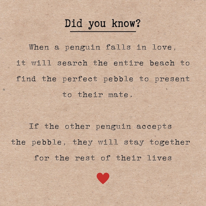 Personalized Penguin 3rd Anniversary Card for Him Husband Men - Etsy