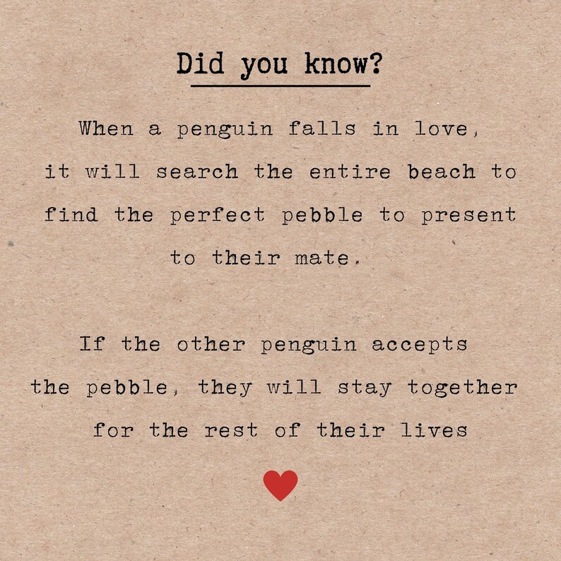 Personalized Penguin Pebble Rock Stone You Are My Penguin - Etsy