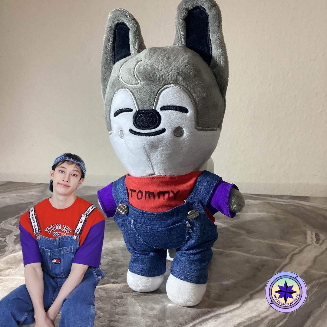 Stray Kids SKZOO Overall and T-shirt, ,skzoo Outfit , Skzoo Clothes ...