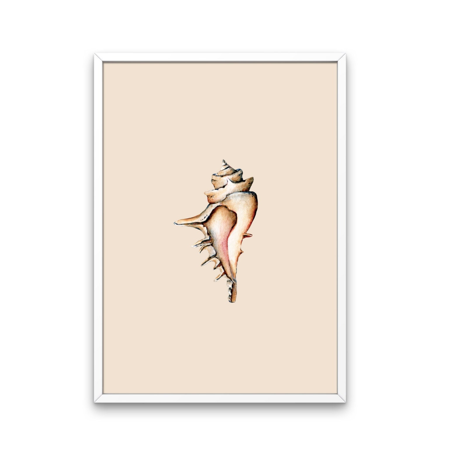 Printable Watercolor of Seashell / Minimalist Wall Art - Etsy
