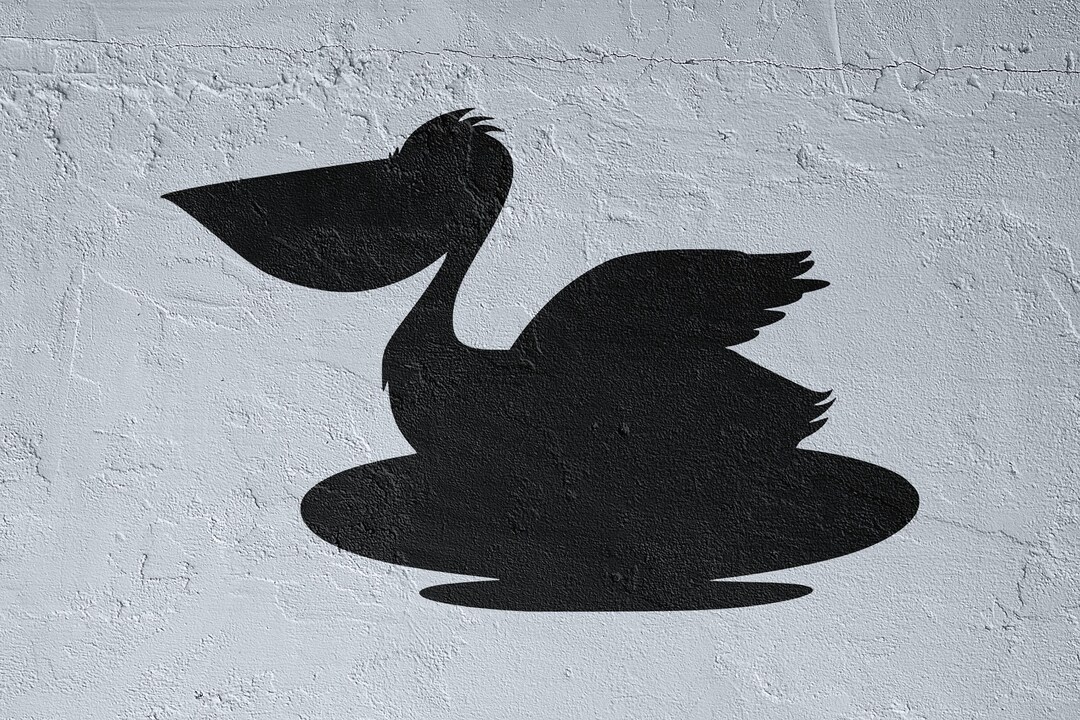 Pelican Stencil Birds Silhouette Acetate Stencil Lion Outline ...