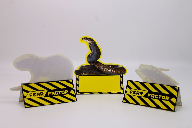 Fear Factor Inspired Party Supplies: Cupcake Toppers - Bunting - Drink ...