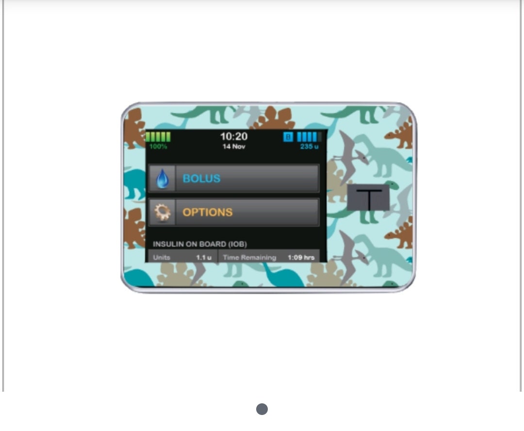 Dinosaur Print T Slim Insulin Pump Sticker | Dexcom G6 Stickers ...